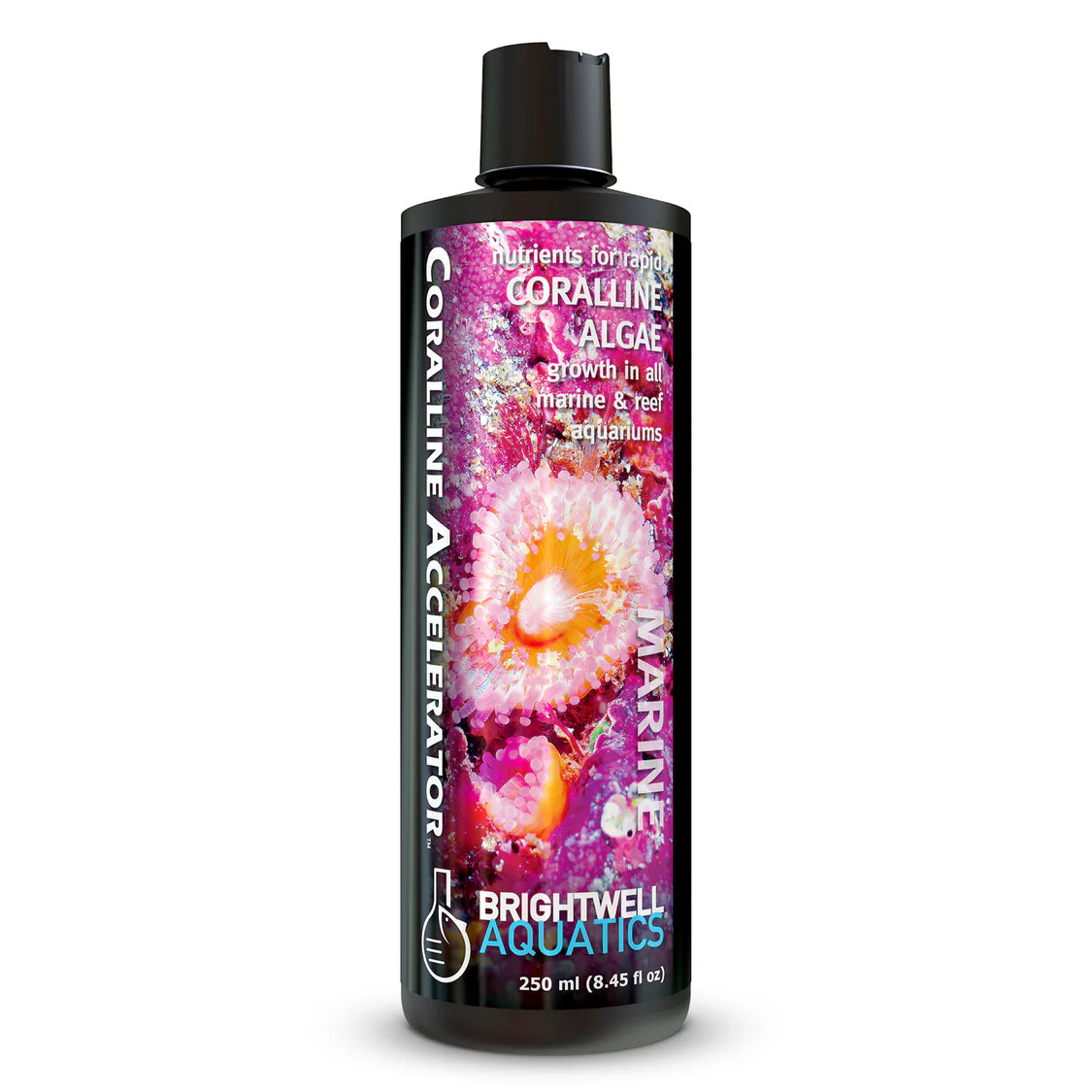 Brightwell Coralline Accelerator – Aquatic Cove